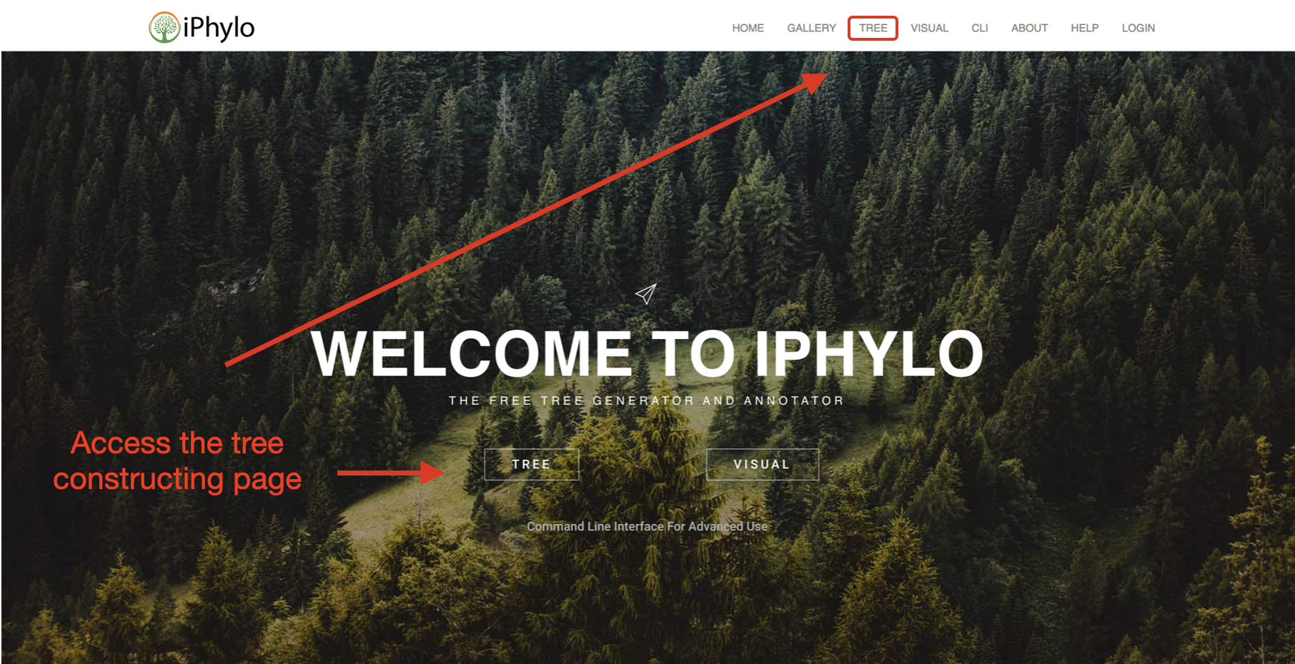2 iPhylo Tree | iPhylo Tutorial
